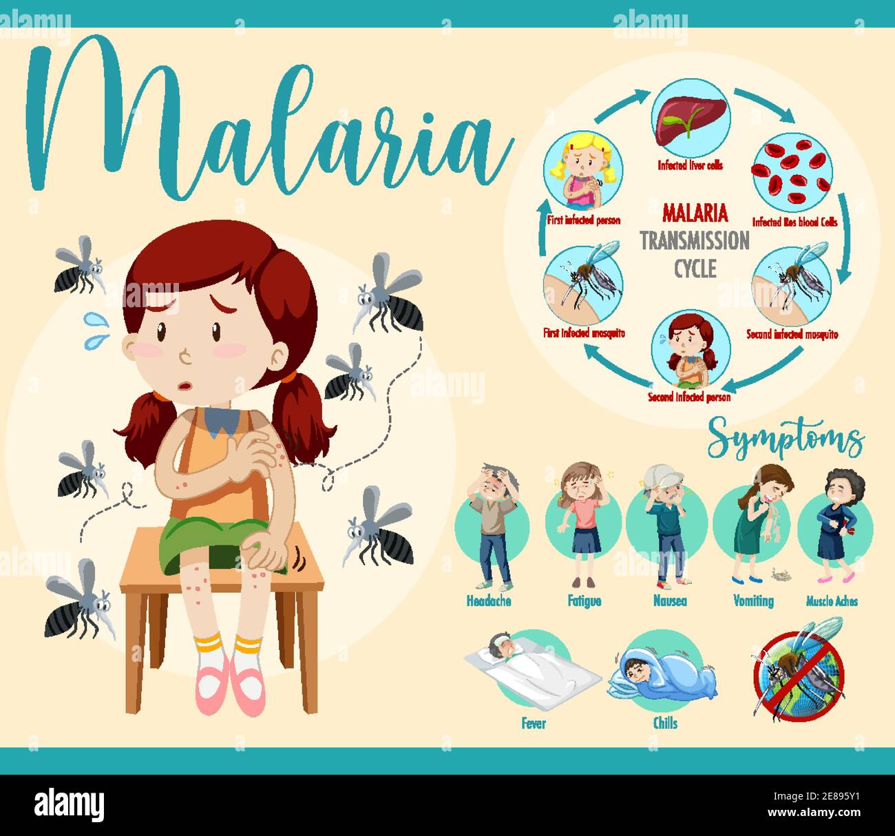 Malaria transmission cycle and symptom information infographic ...