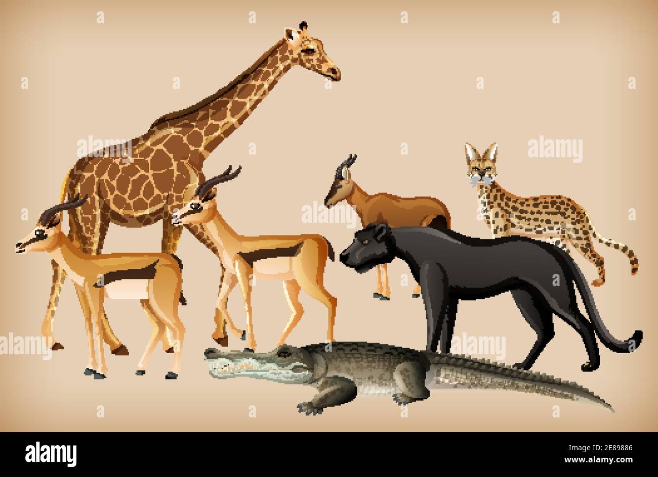 Group of wild animal on background illustration Stock Vector Image ...