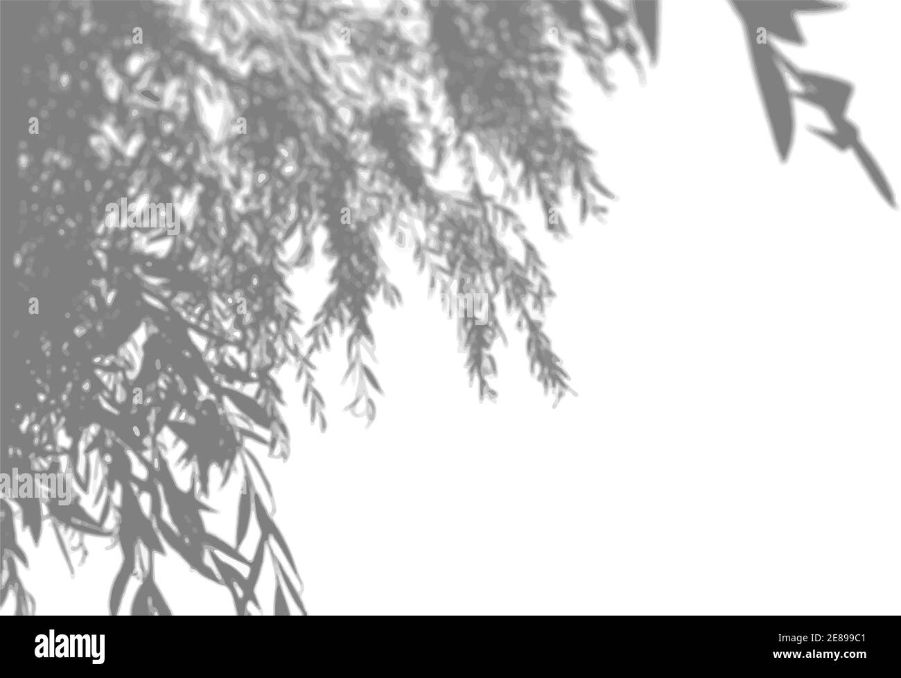 Willow shadow Stock Vector Images - Alamy