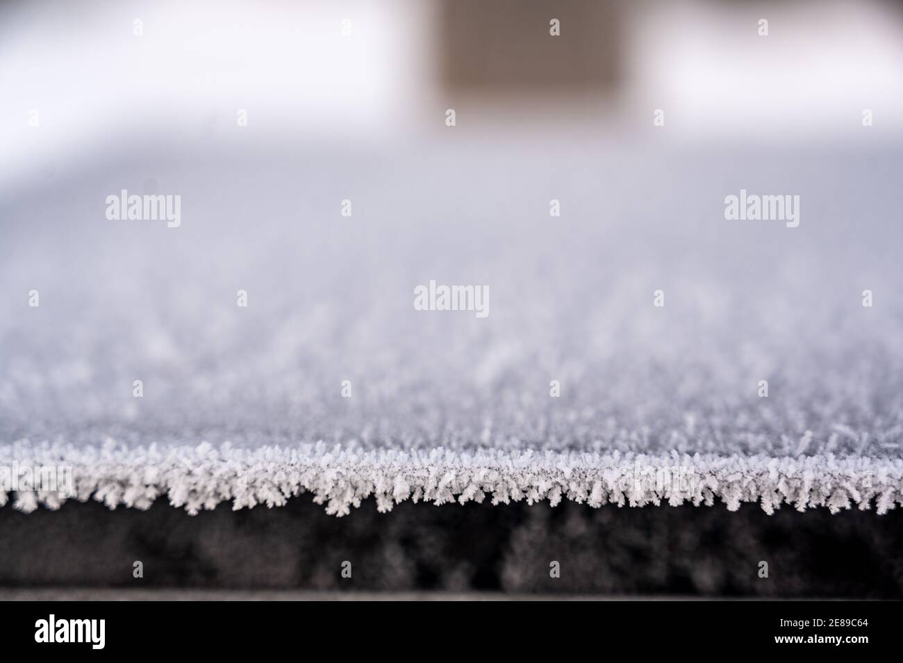 winter scene of frost crystals in a row with defocused background Stock ...