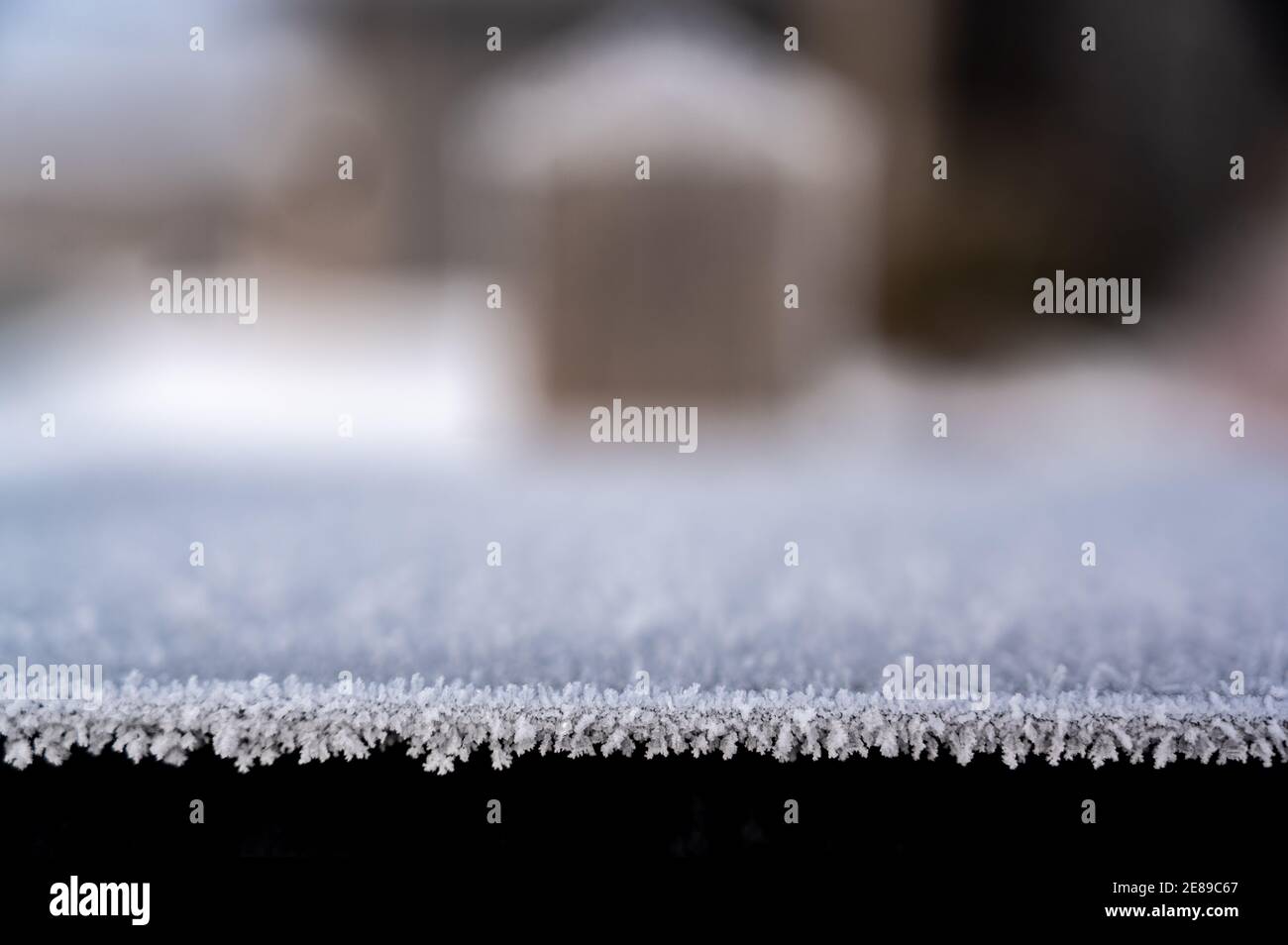 winter scene of frost crystals in a row with defocused background Stock ...