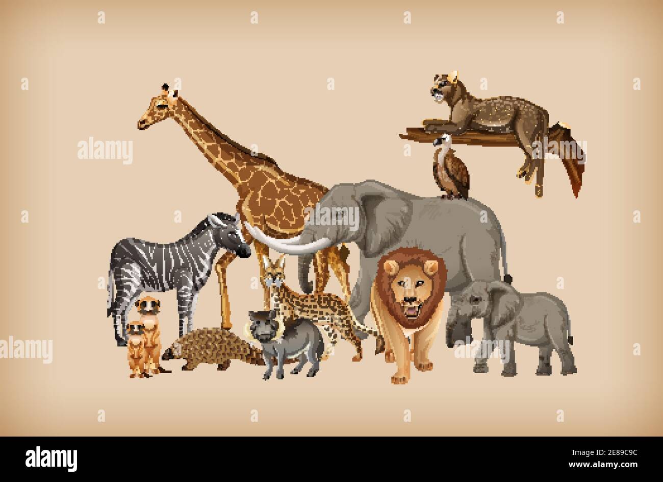 Group of wild animal on background illustration Stock Vector Image ...