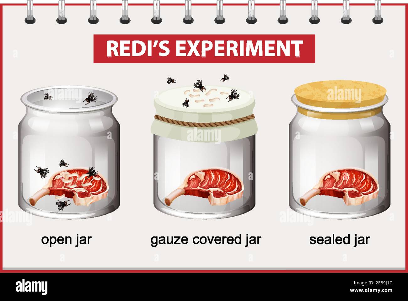 Francesco redi hi-res stock photography and images - Alamy