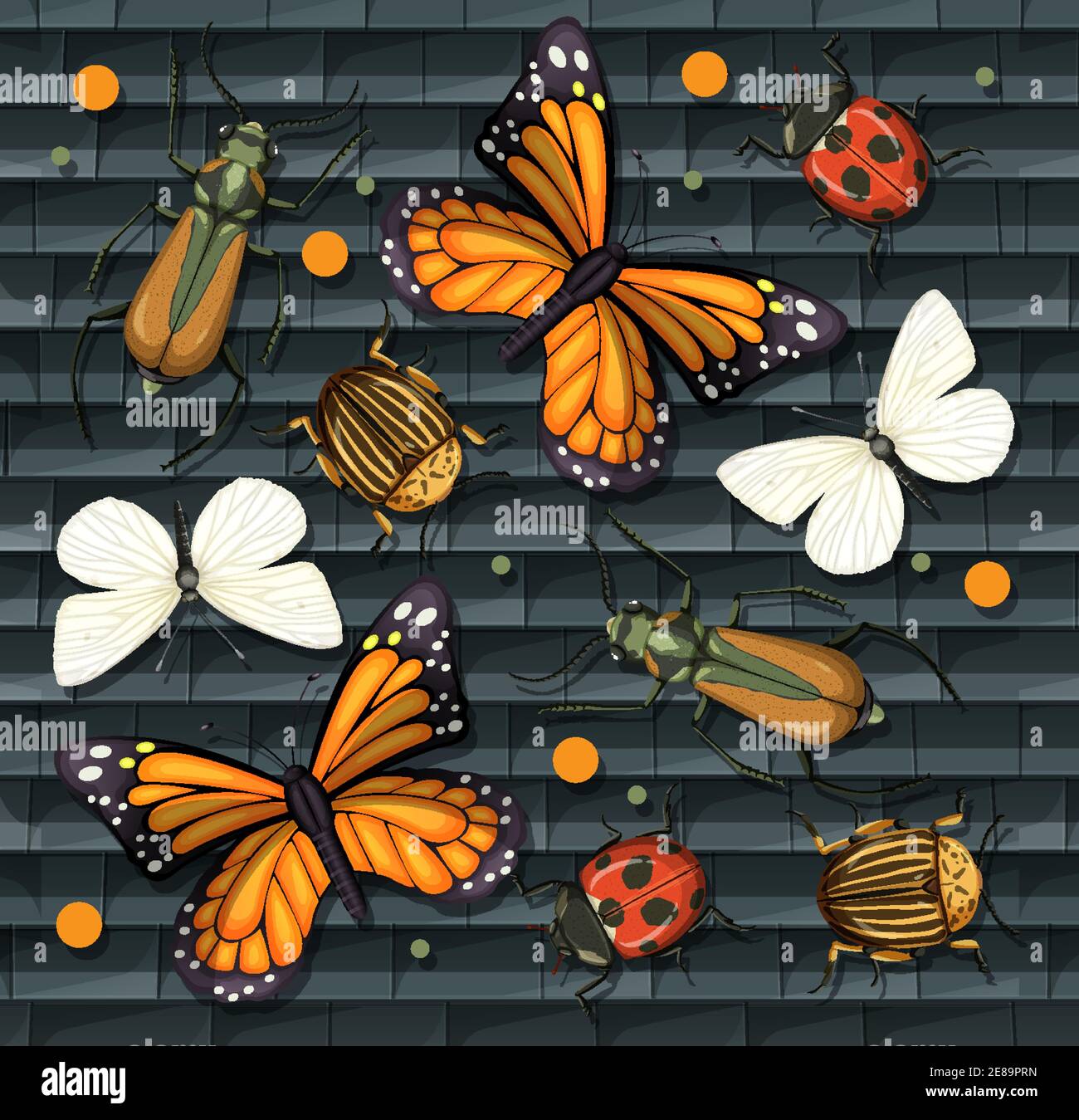 Set of different insects isolated illustration Stock Vector Image & Art ...