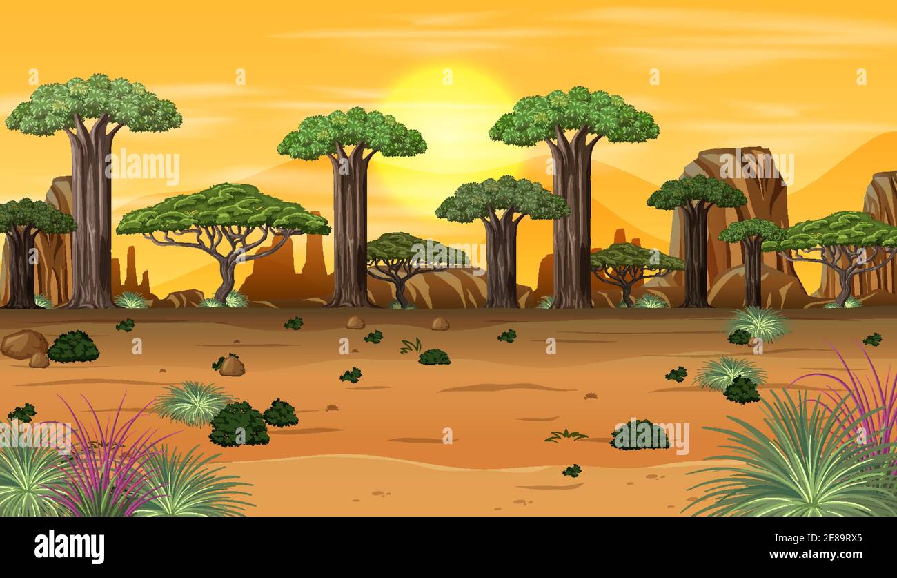 African forest landscape at sunset time illustration Stock Vector Image ...