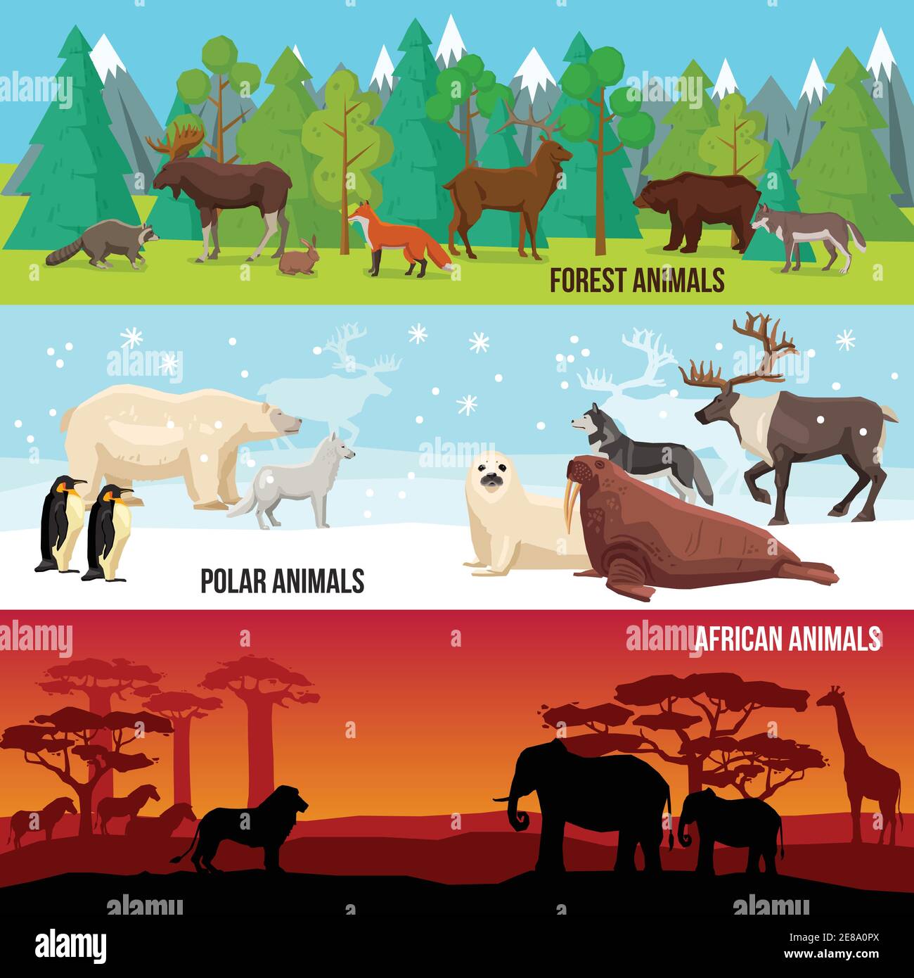 Flat horizontal banners set with forest polar and african animals on ...
