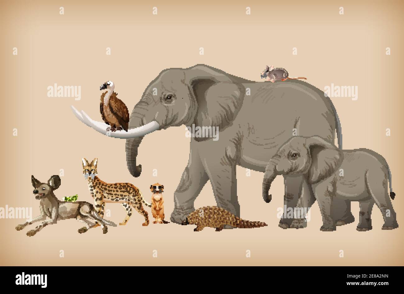 Group of wild animal on background illustration Stock Vector Image ...