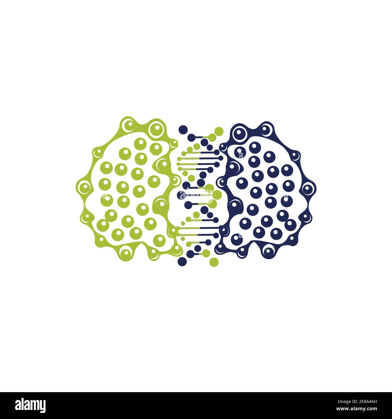 Human gene transfer hi-res stock photography and images - Alamy