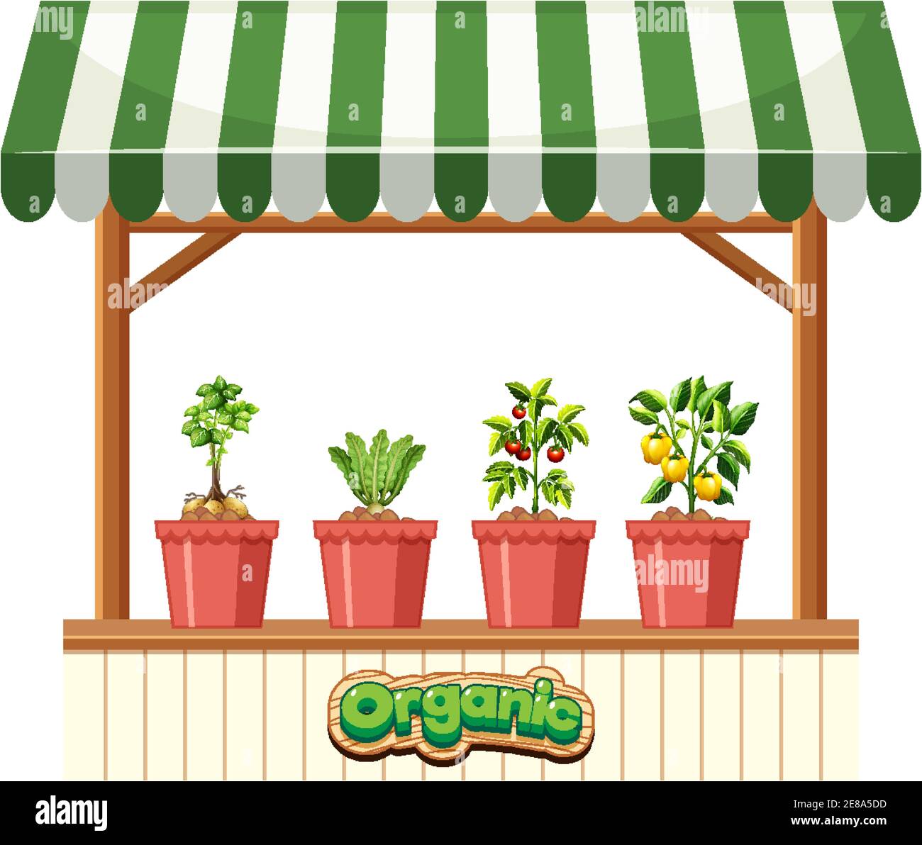 Plant shop with striped awning on white background illustration Stock ...