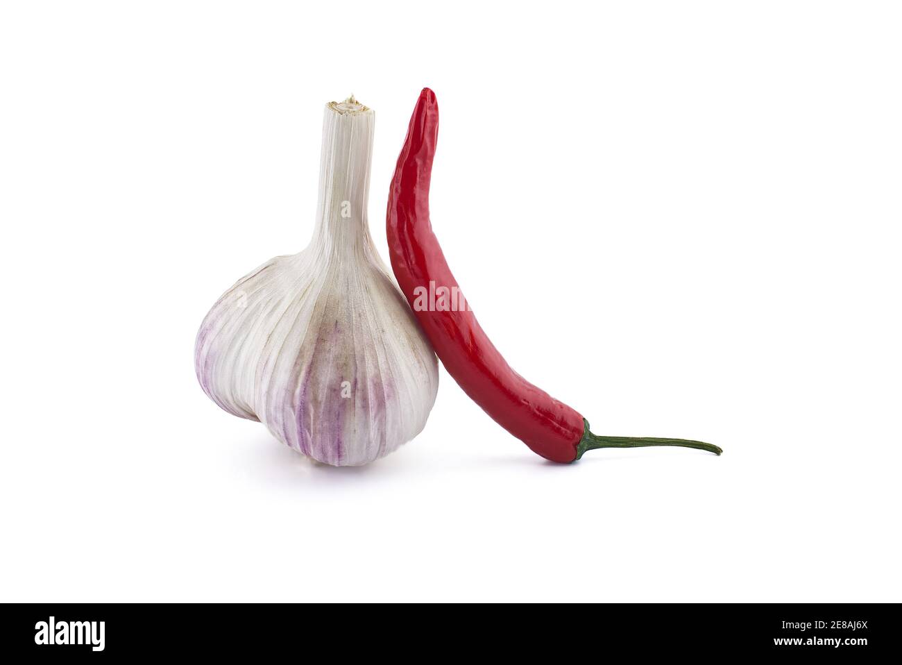 Garlic bulb and fresh small red chili pepper in close-up isolated on ...