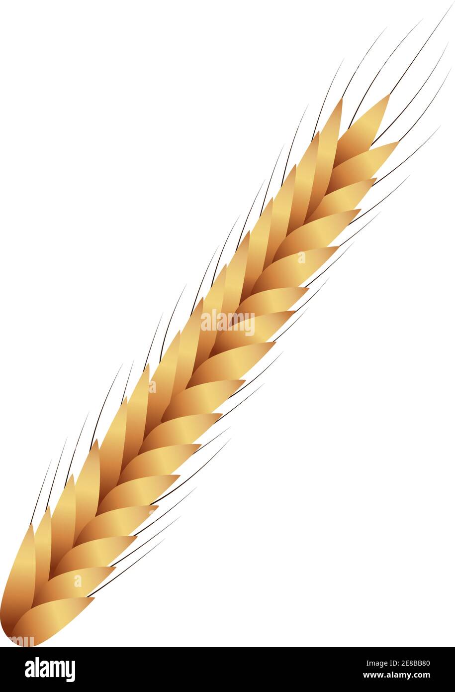 barley ear nature isolated icon vector illustration design Stock Vector ...