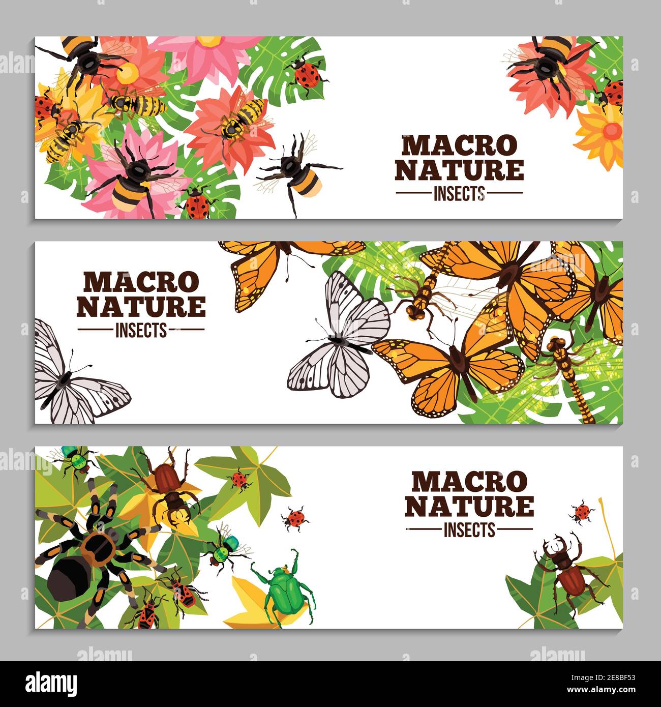 Insects horizontal banners of wasps butterflies bugs beetles and others ...