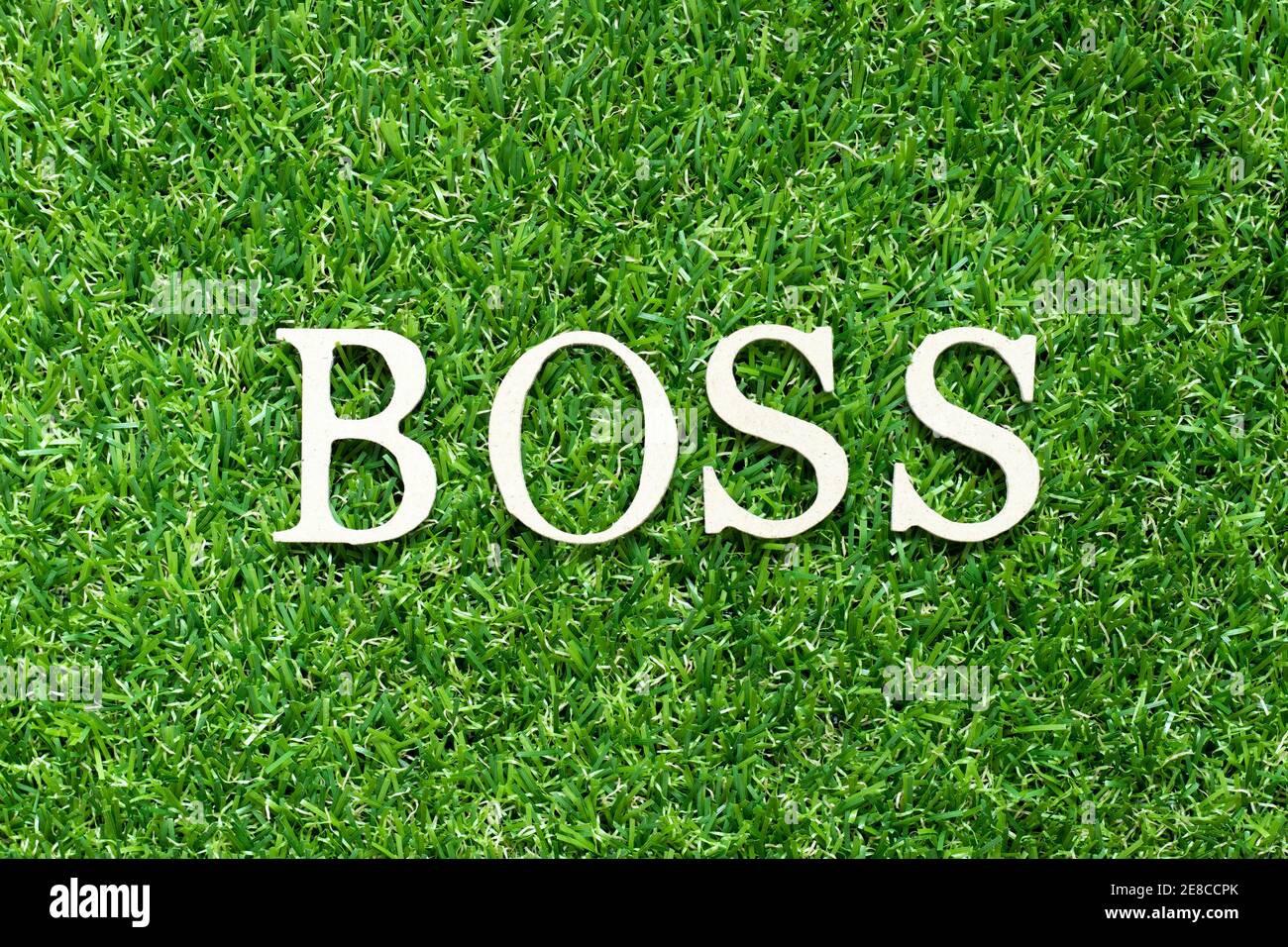 Alphabet letter in word boss on green grass background Stock Photo - Alamy