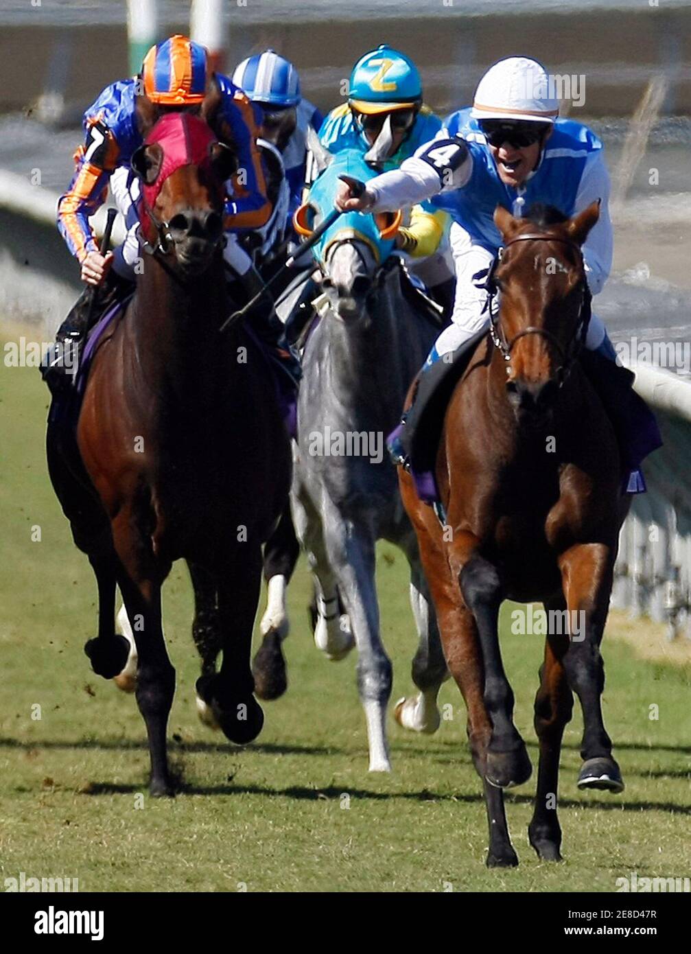 Park ranger with horse hi-res stock photography and images - Alamy