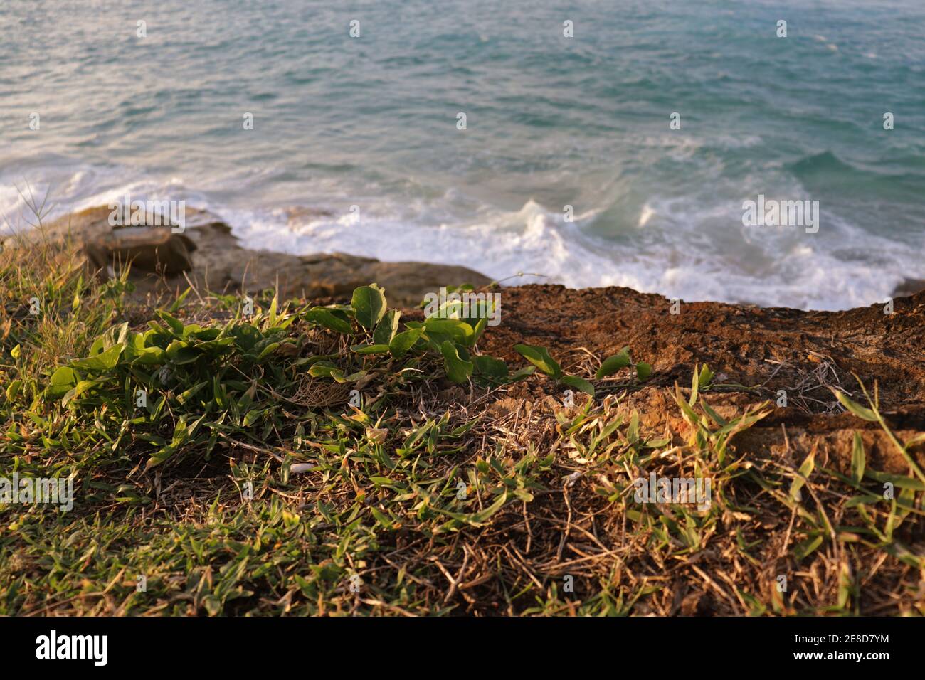 Green grass next to ocean hi-res stock photography and images - Alamy