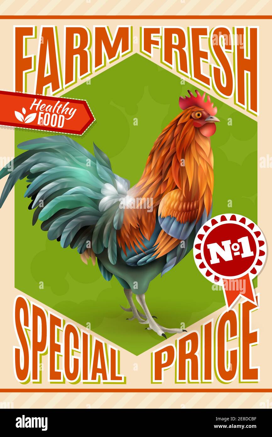 Healthy organic poultry meat sale and roosters for breeding farm market ...