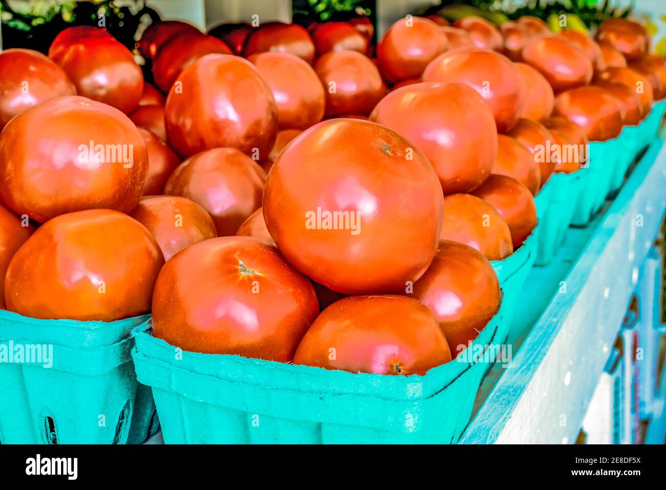 Rows of tomato cartons on display at a farmers' market Stock Photo - Alamy