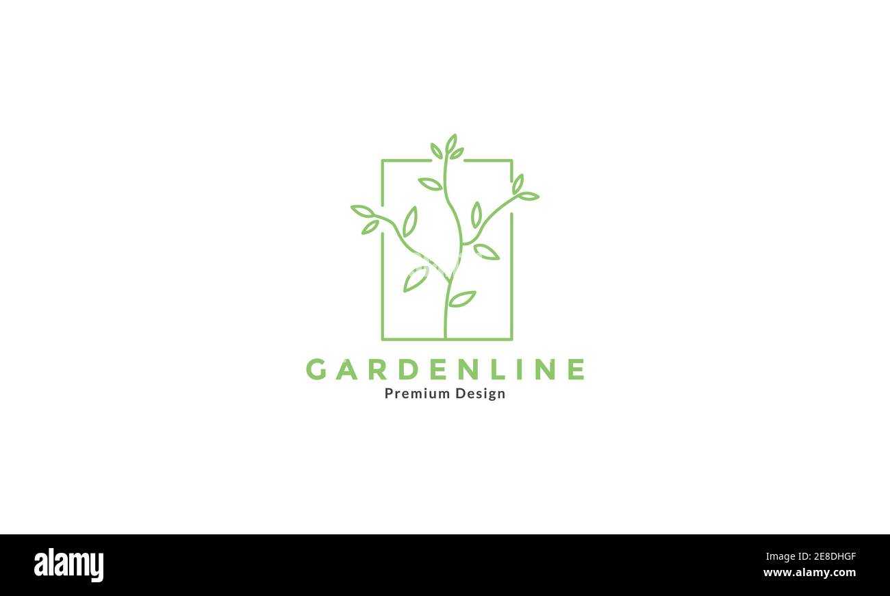 plant tree leaf line with frame simple green logo symbol icon vector ...