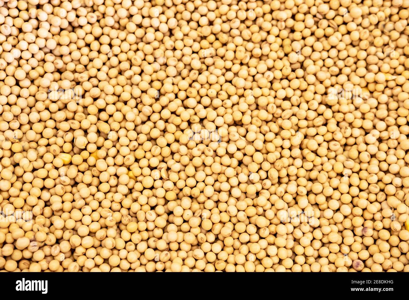 Agricultural background of whole soybeans Stock Photo - Alamy