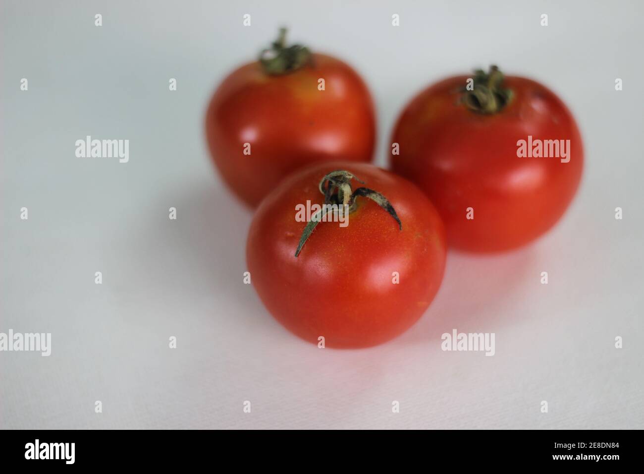 Fresh Local desi red tomatoes photographed on white background Stock ...