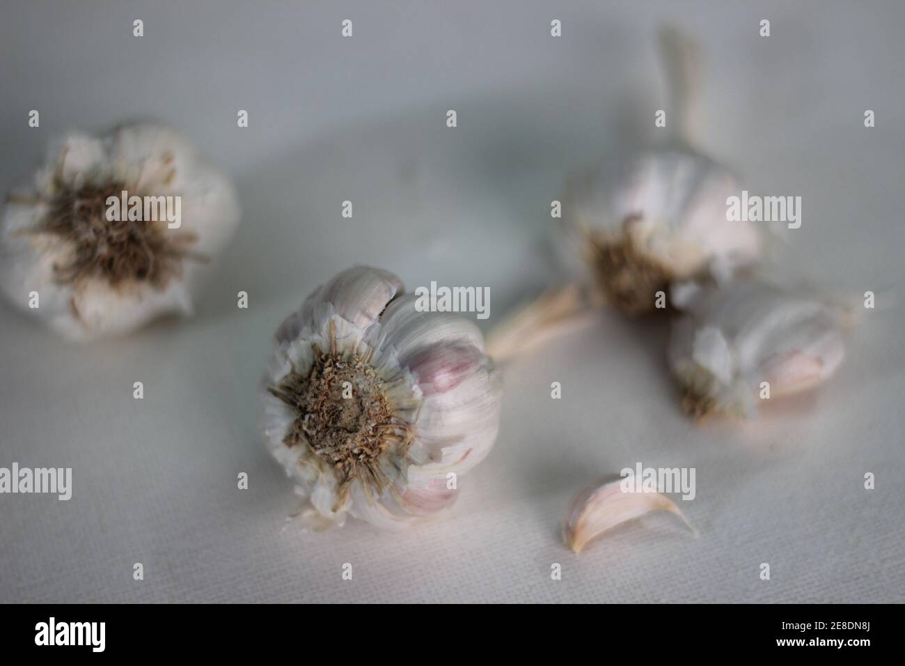 Raw Garlic and garlic cloves photographed on white background Stock ...