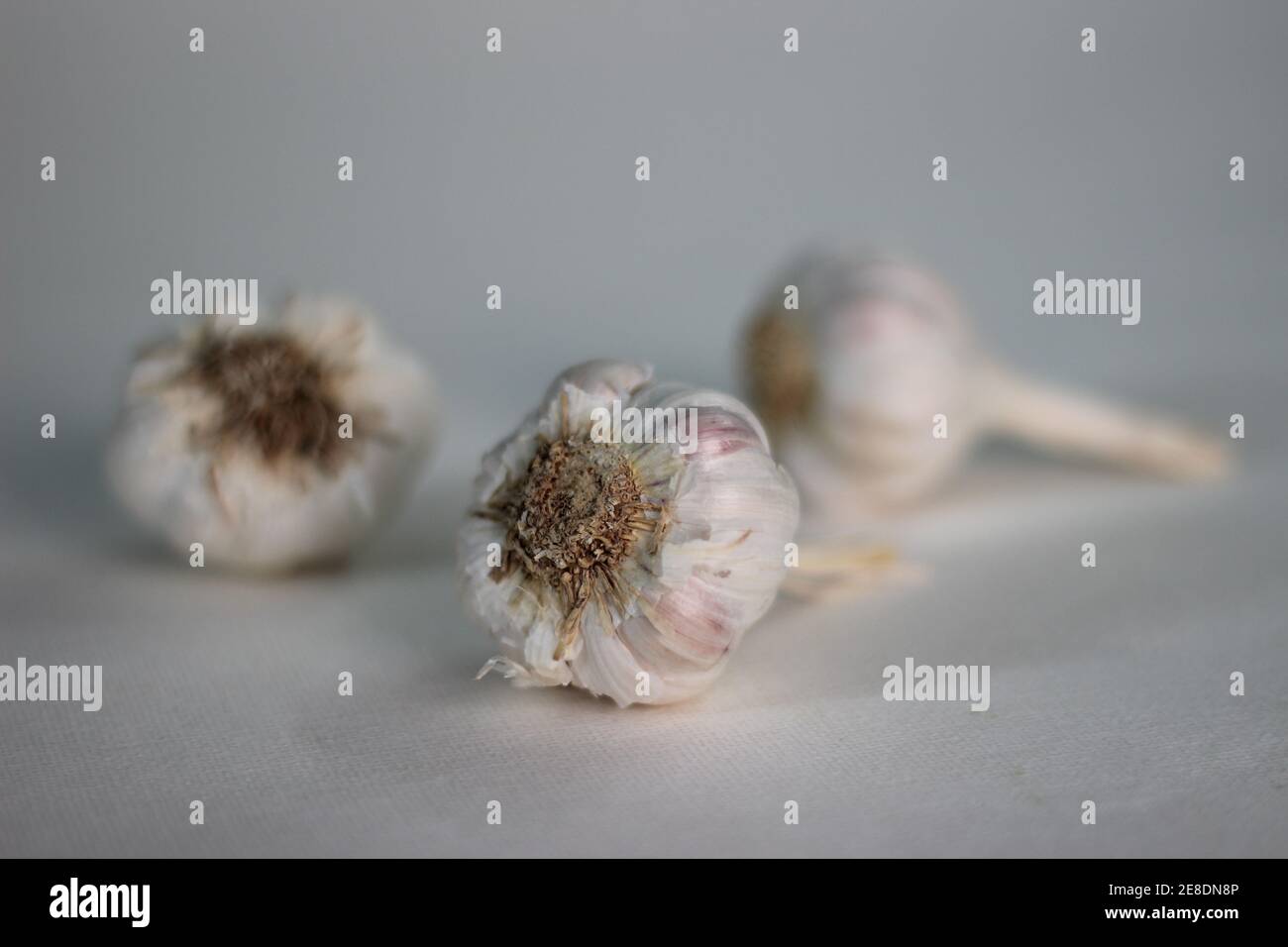 Raw Garlic and garlic cloves photographed on white background Stock ...