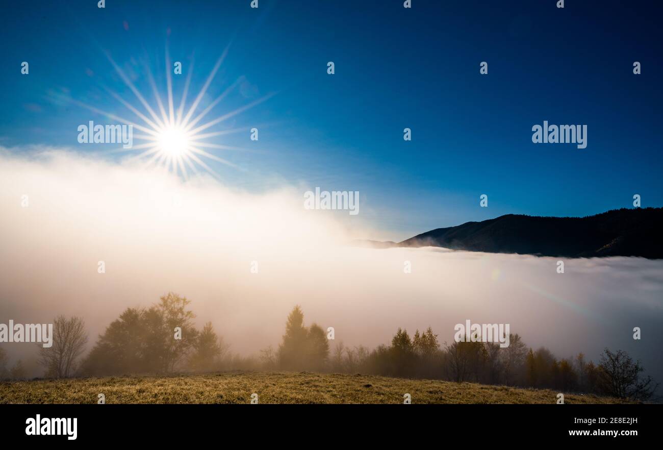 Autumn early morning and frozen dry grass covered with white fog under ...
