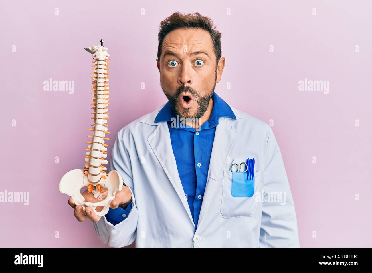Middle age doctor man holding anatomical model of spinal column scared ...