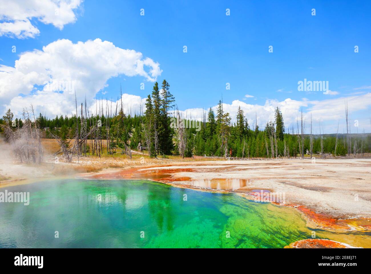 Inspiring natural background. Pools and geysers fields in Yellowstone ...