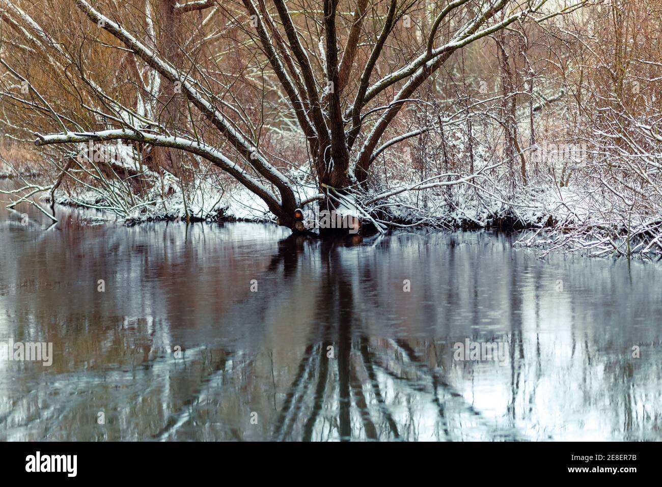 Wintry climate hi-res stock photography and images - Alamy
