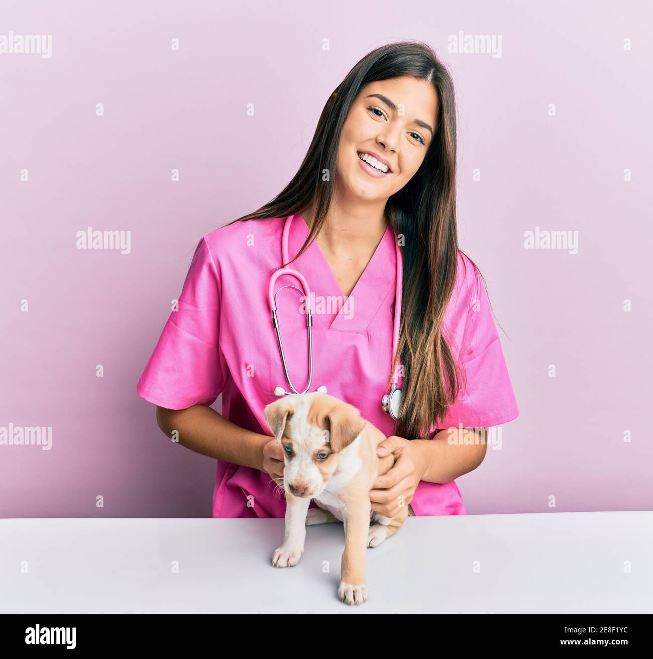 Young hispanic veterinarian girl smiling happy examining little dog at ...
