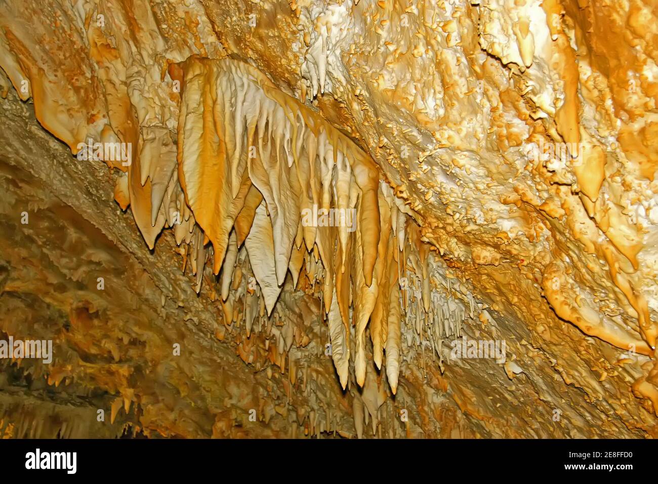 Strange beauty hi-res stock photography and images - Alamy