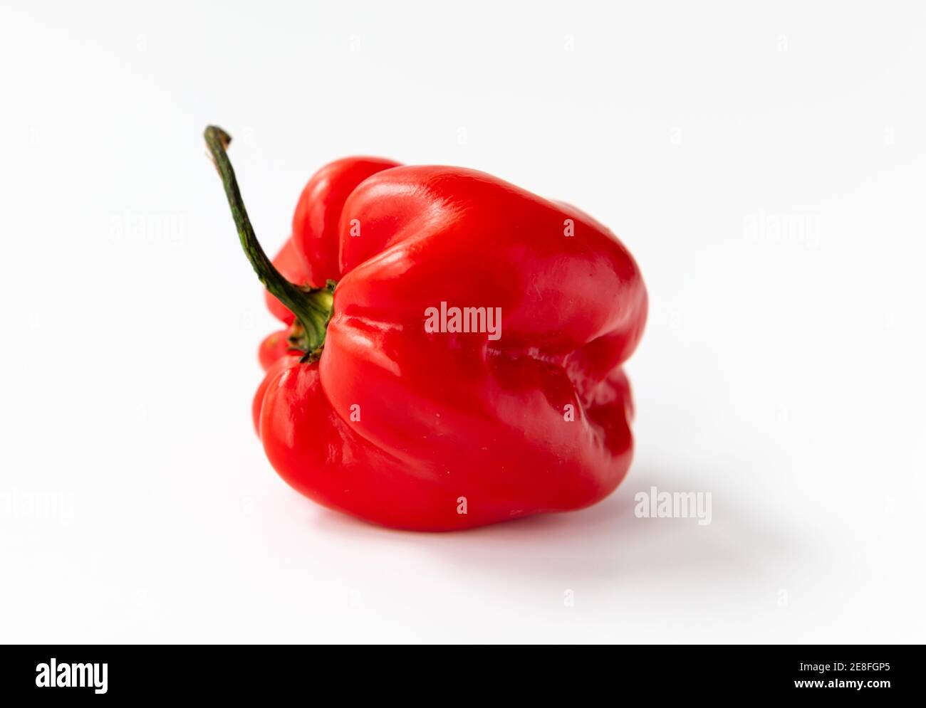 Red habanero chilli pepper isolated with a white background Stock Photo ...