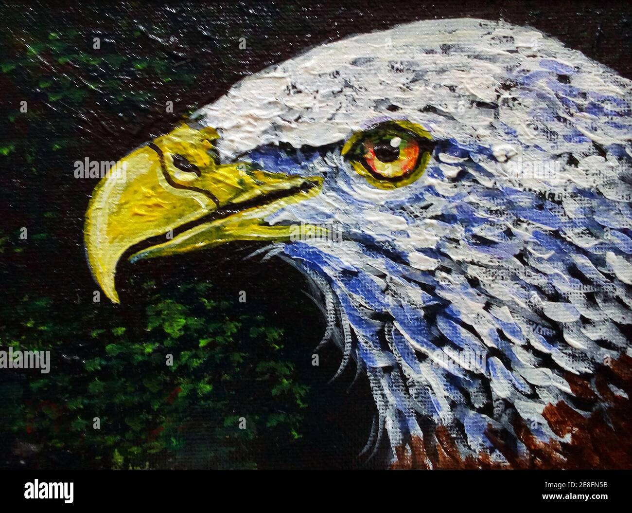 Oil Pastel Drawings Of Birds
