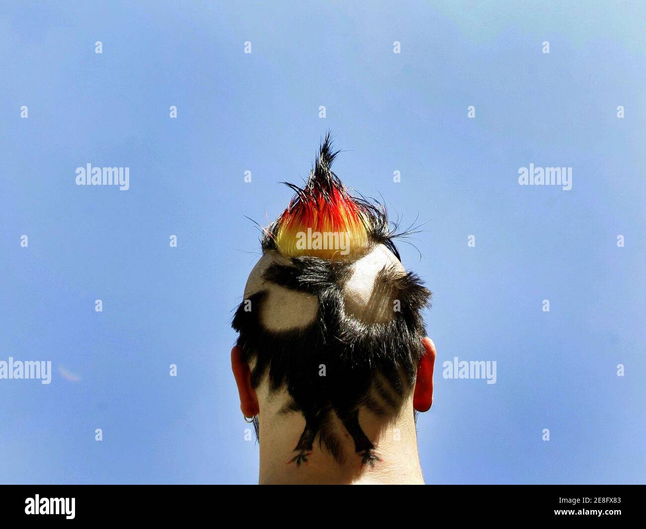 Hairdresser Daniel High Resolution Stock Photography and Images - Alamy