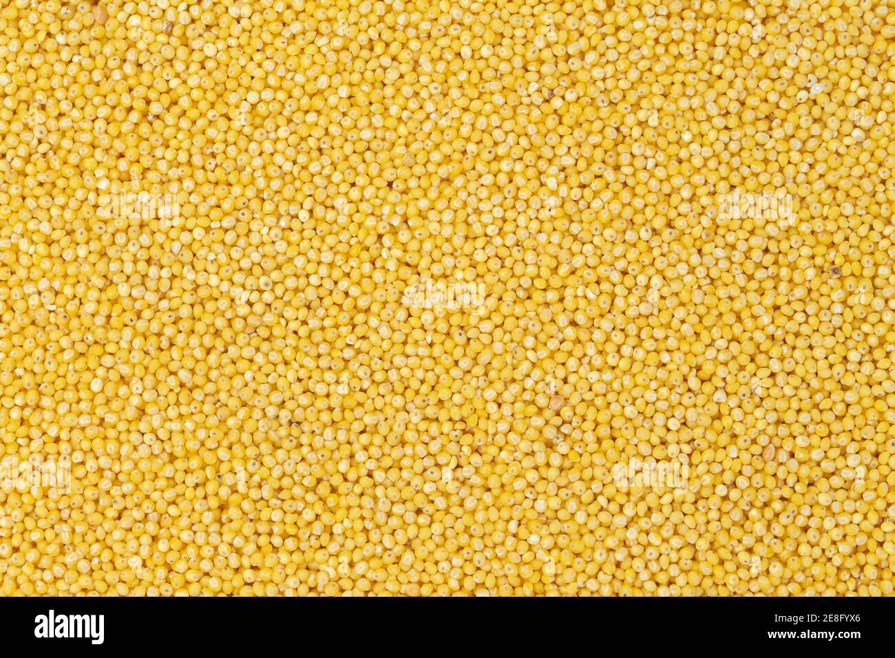 Polished millet texture and details traditional food. Healthy boiled ...