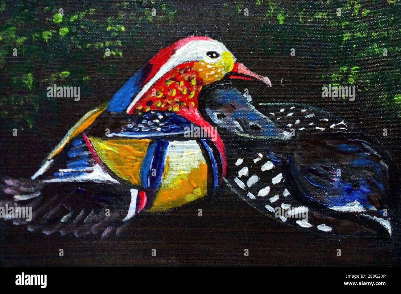Art ,painting ,Acrylic,color ,Mandarin duck Stock Photo - Alamy