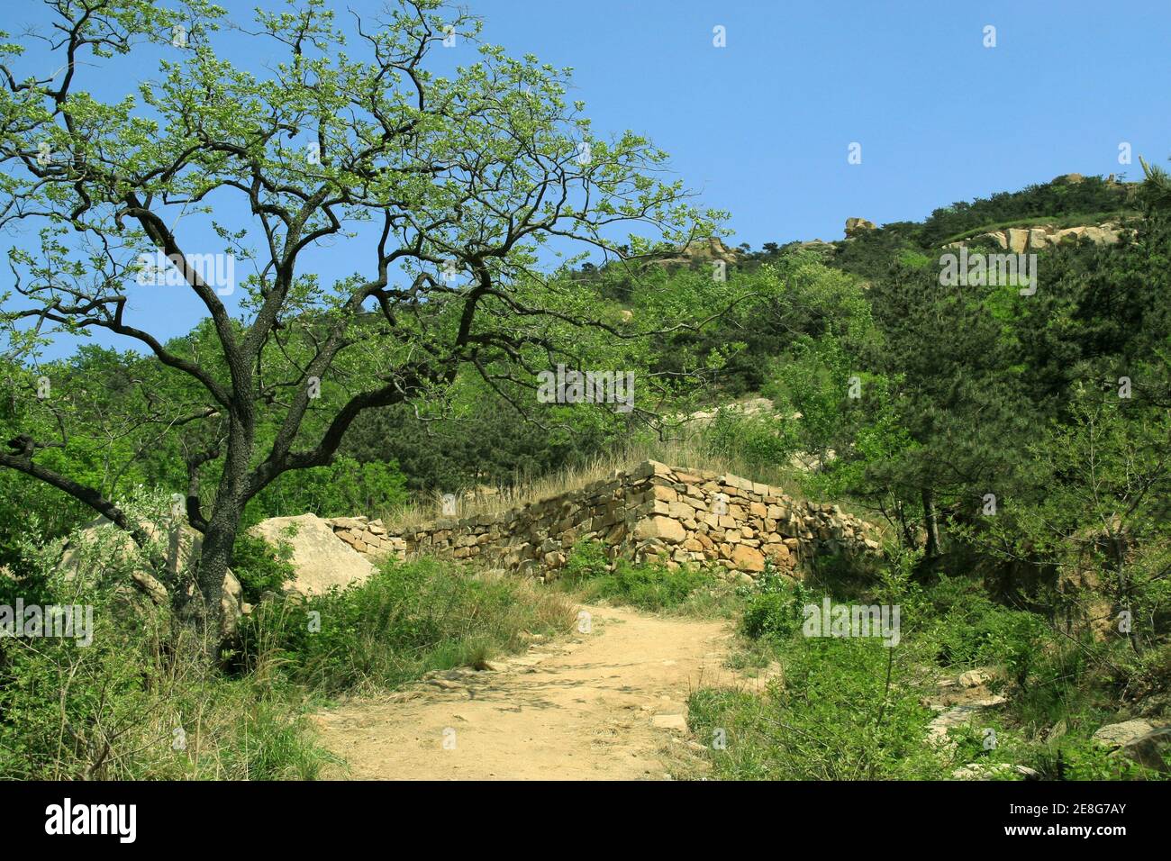 mountain and trees scenery in northern China Stock Photo - Alamy