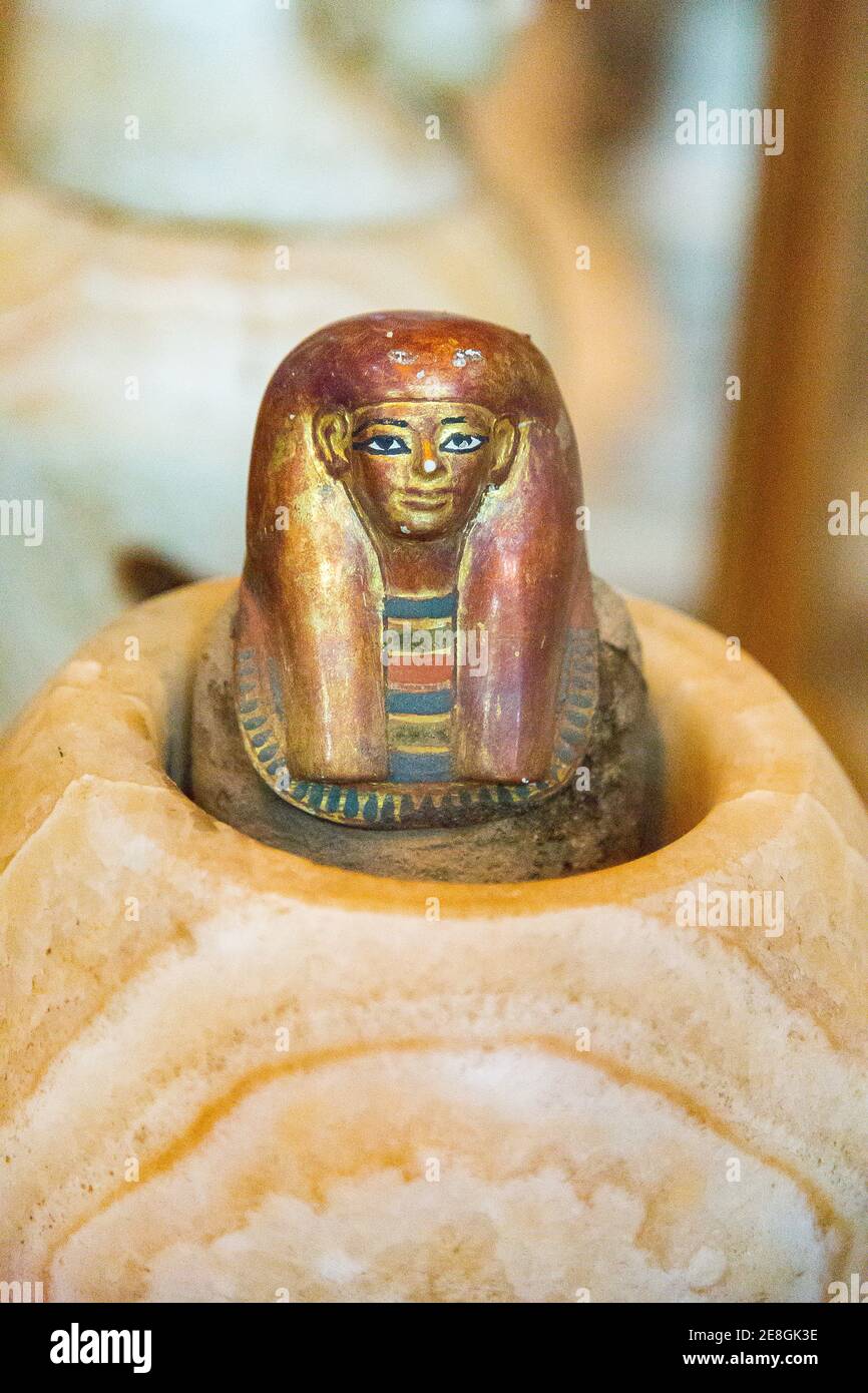 Mummy of thuya hi-res stock photography and images - Alamy
