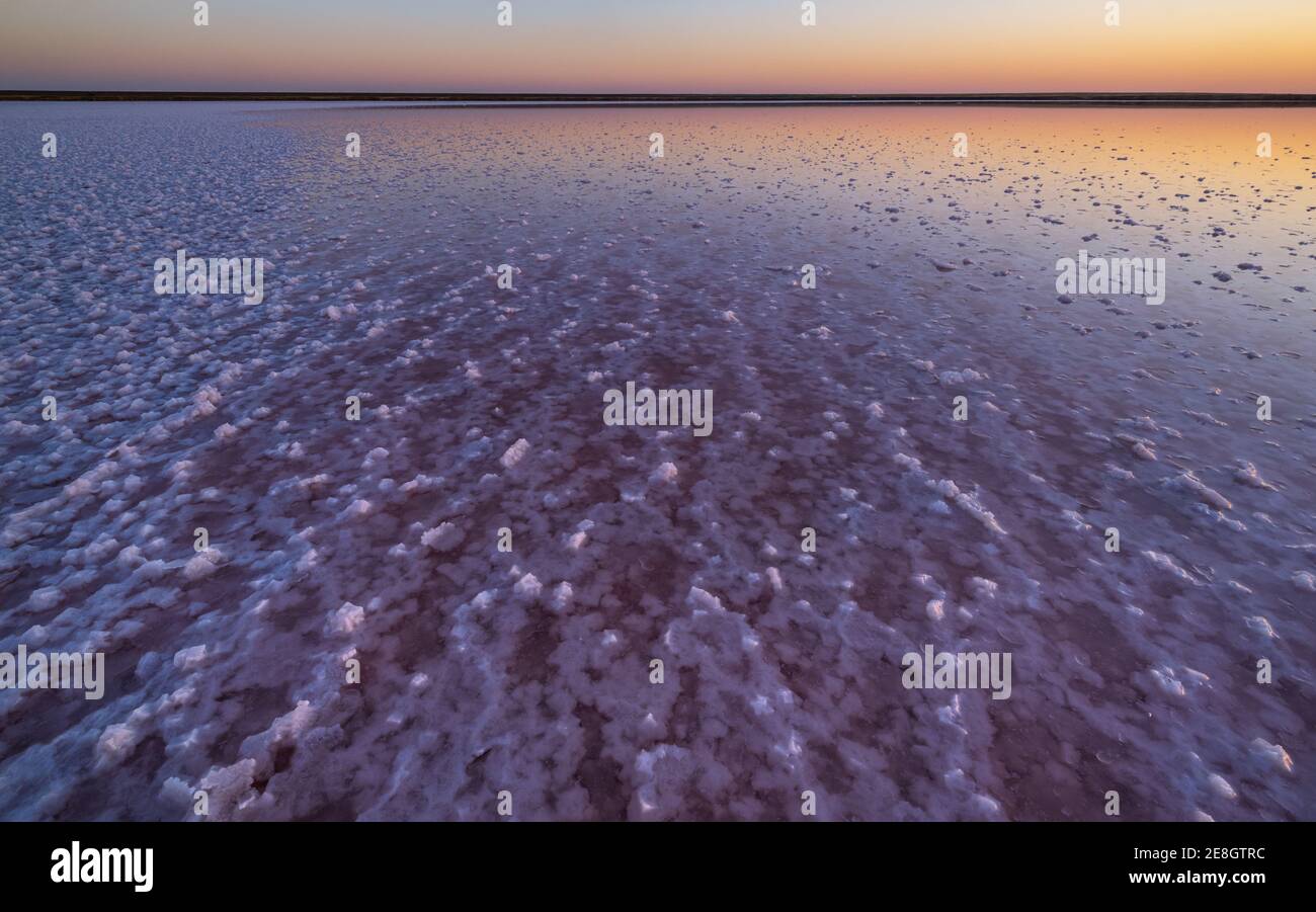 Sunset on the Genichesk pink extremely salty lake (colored by ...