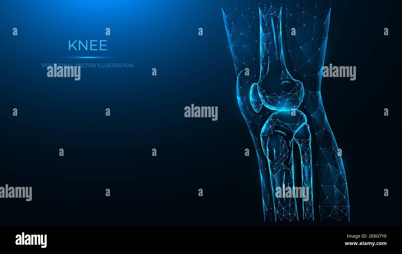 Polygonal vector illustration of the knee joint side view. Thigh and ...