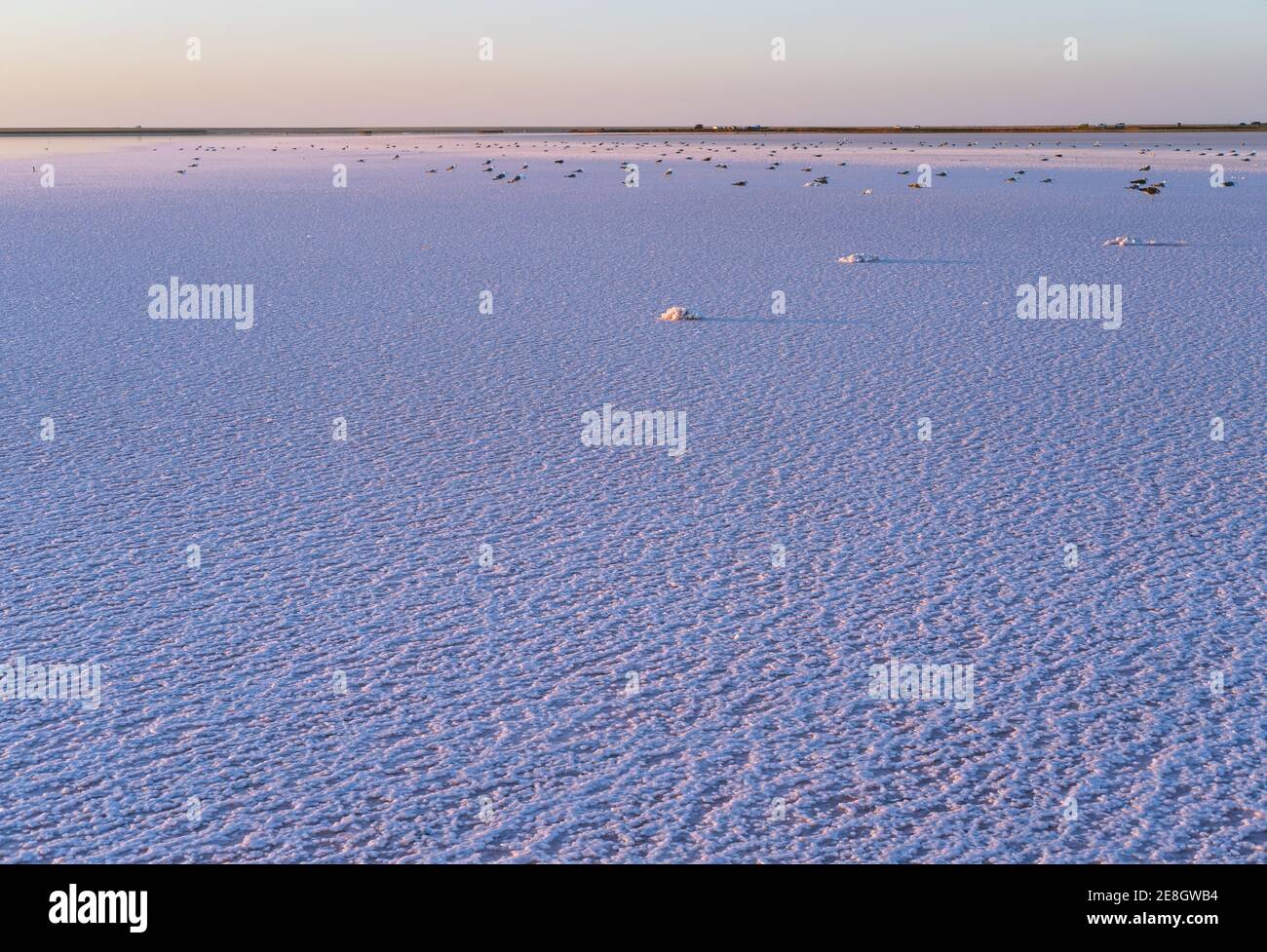 Salty lake pink hi-res stock photography and images - Alamy
