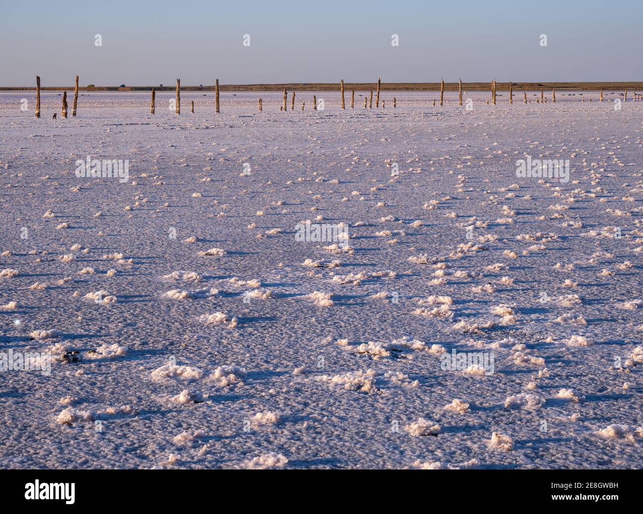 Sunset on the Genichesk pink extremely salty lake (colored by ...