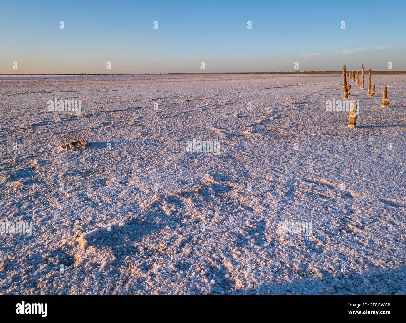 Sunset on the Genichesk pink extremely salty lake (colored by ...
