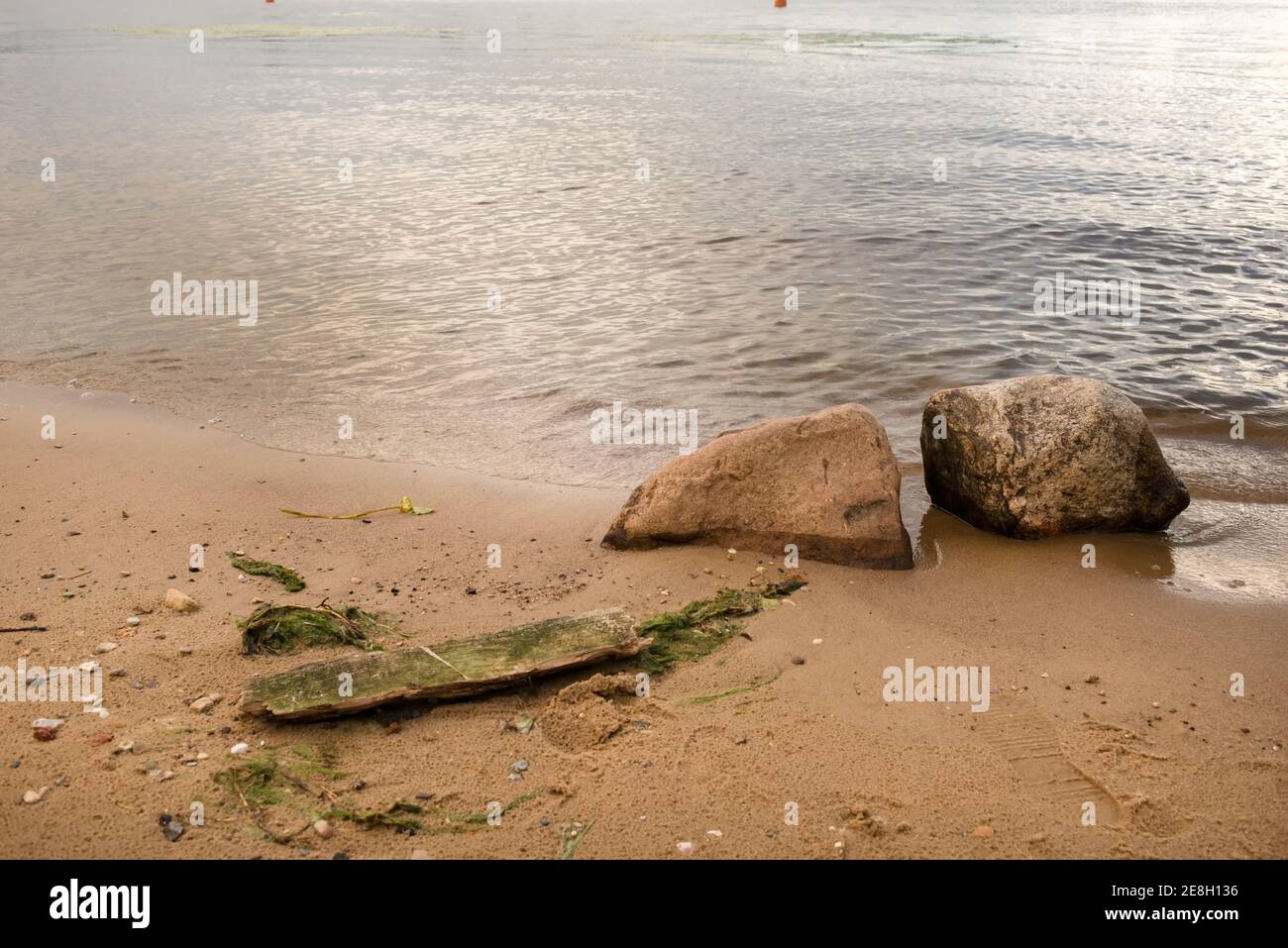 Stones and sticks on the beach near the water Stock Photo - Alamy