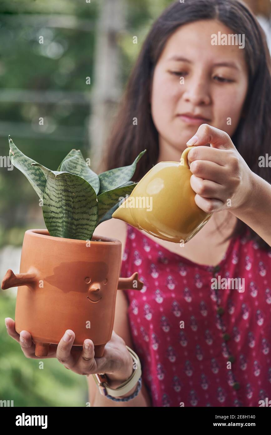 Girl with a succulent plant hi-res stock photography and images - Alamy