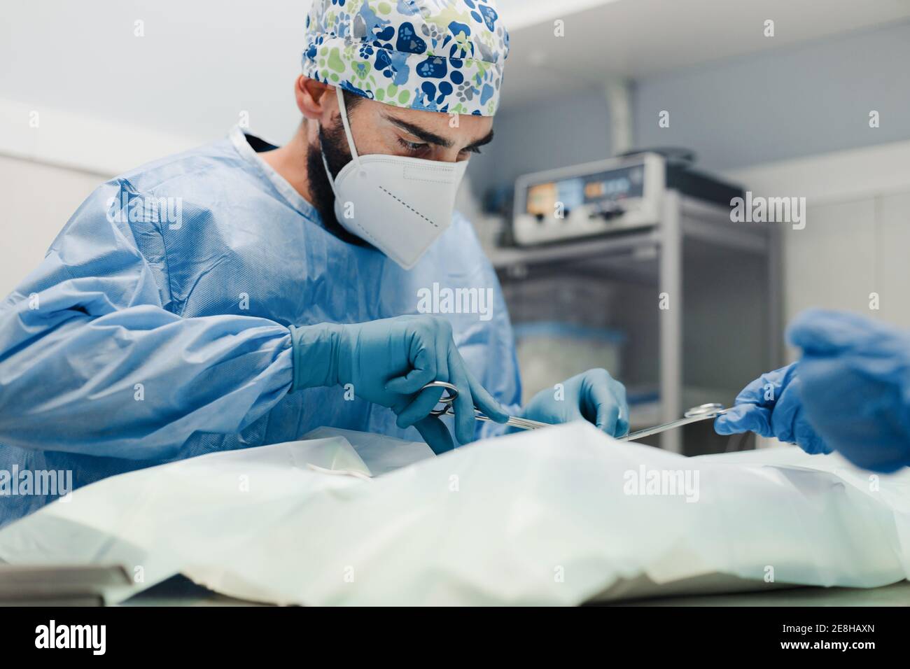 Focused male veterinarian in uniform and respiratory mask using medical ...