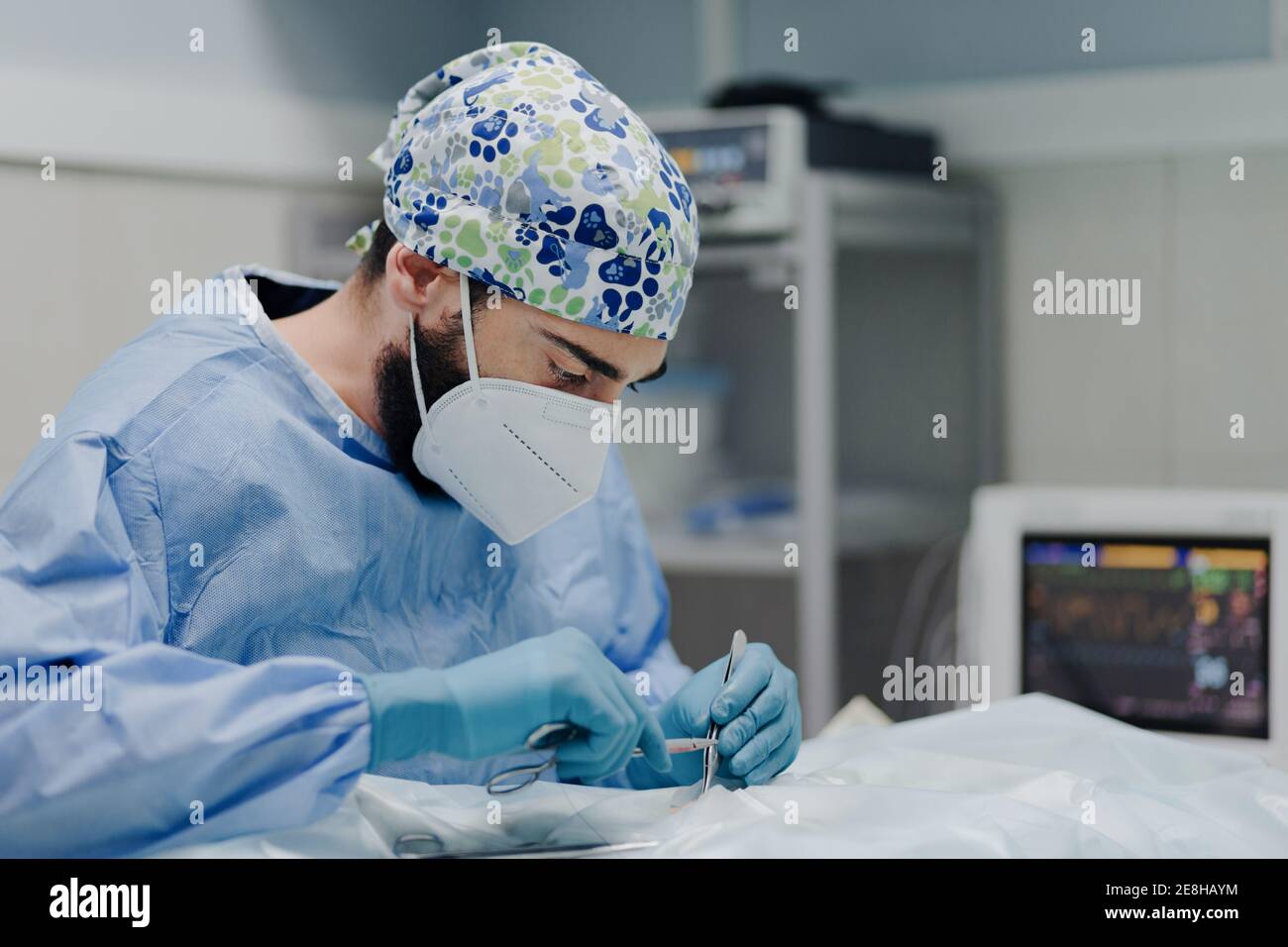 Focused male veterinarian in uniform and respiratory mask using medical ...