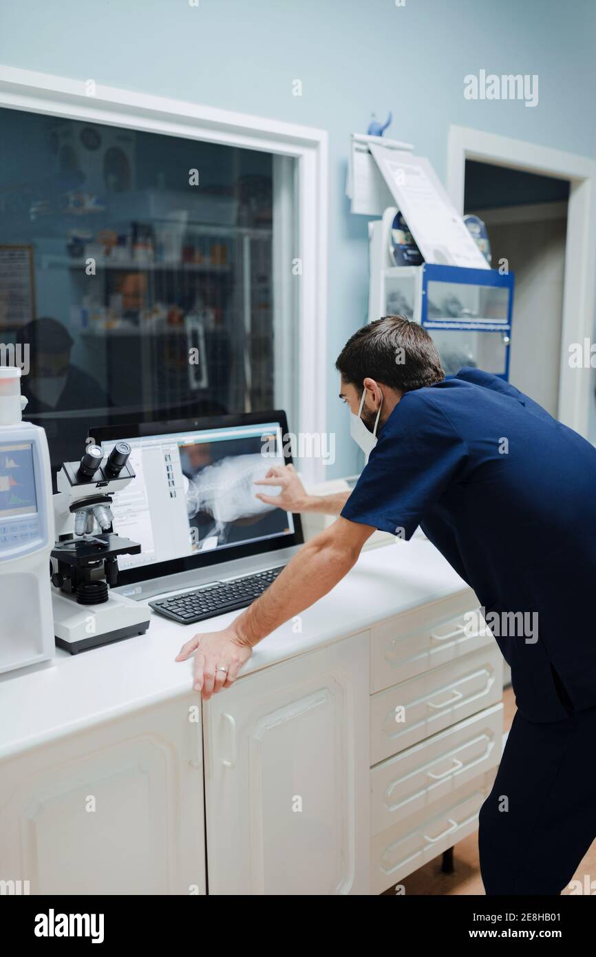 Crop anonymous veterinarian showing X ray image on computer screen ...
