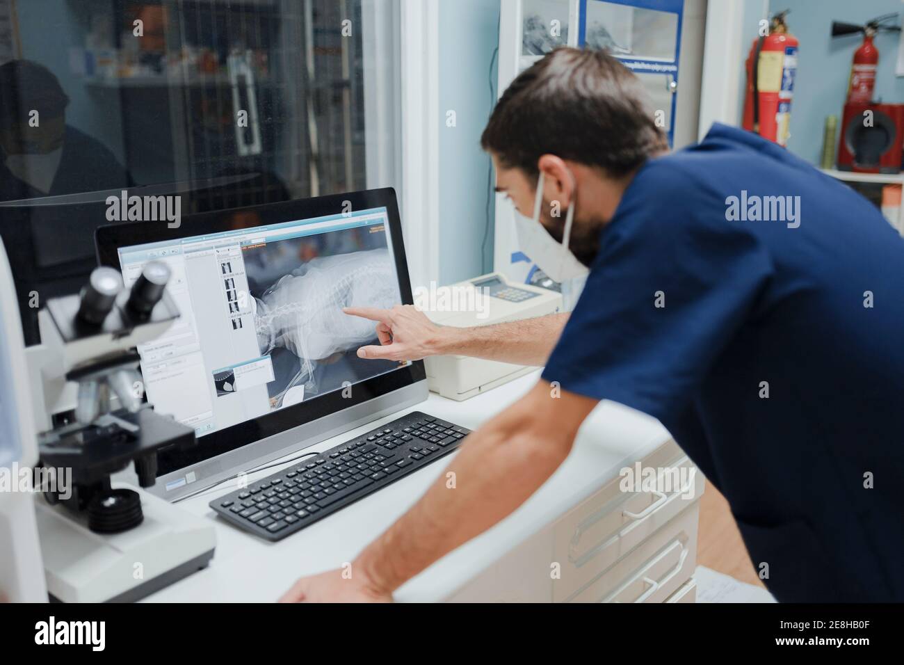 Computer x ray illustration hi-res stock photography and images - Alamy
